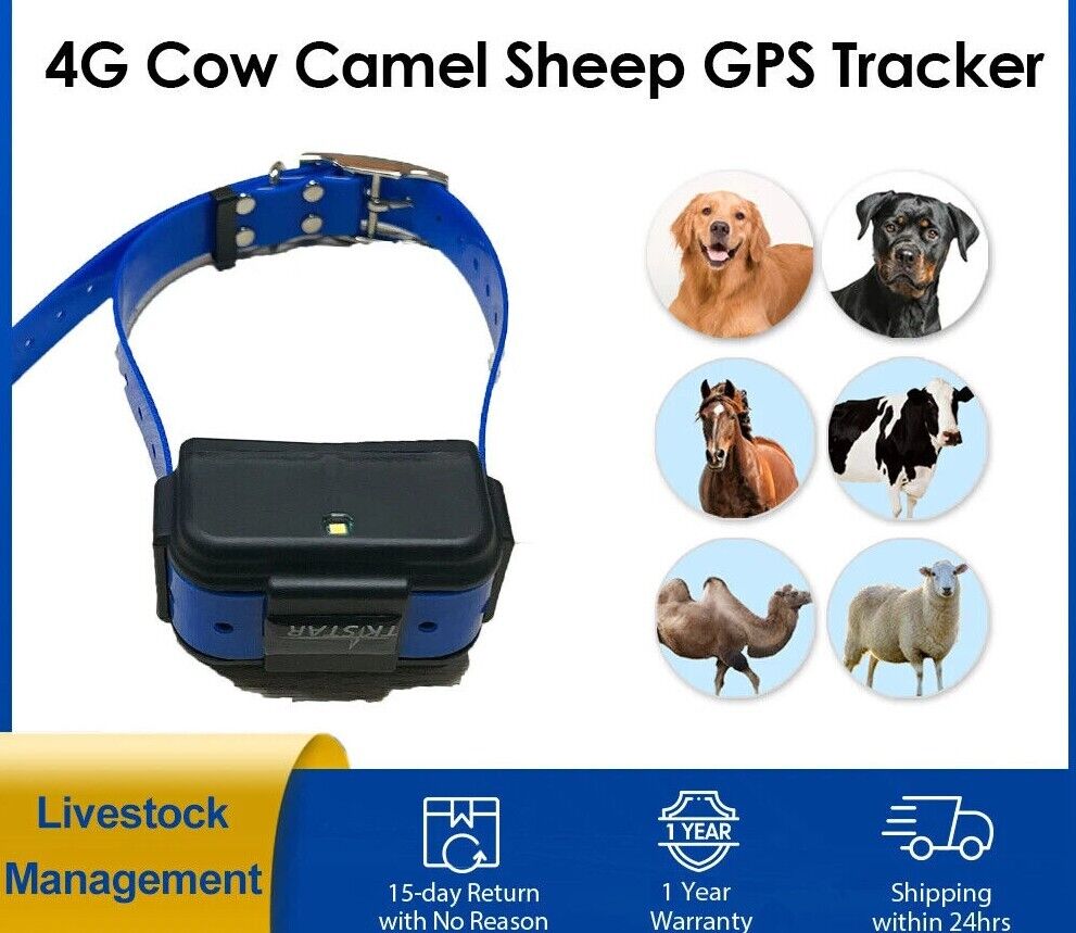 4G Animal GPS Tracker Cow Camel Sheep Dog GPS Locator Long Standby Wat ...